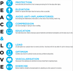 How To Rehab A Hamstring Tear | RRP Blog